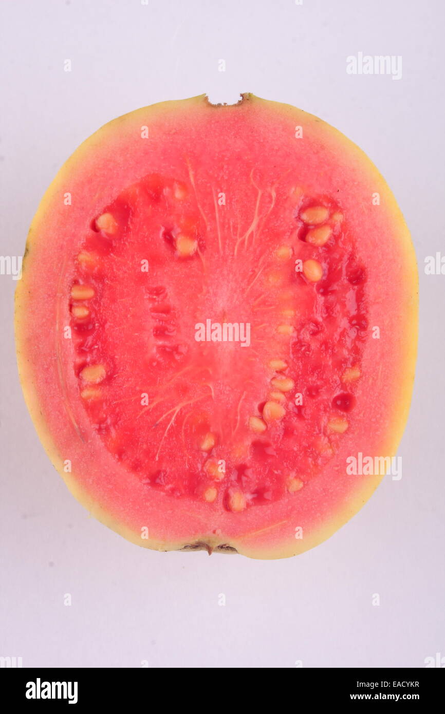 Cross Section Of Strawberry Guava How To Plant, Grow, And Care For A