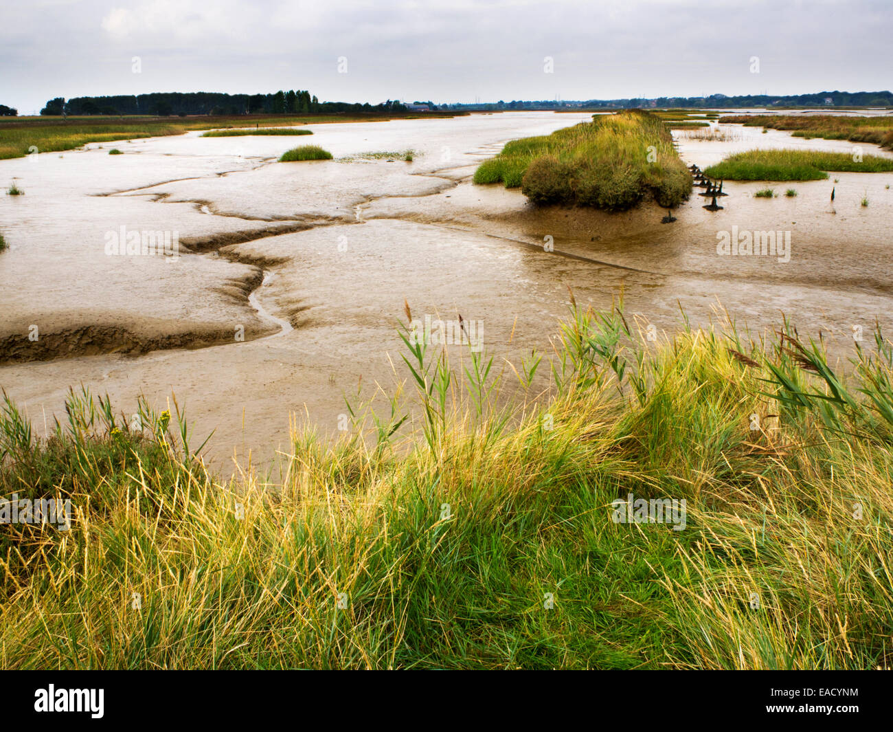Public footpath erosion hi-res stock photography and images - Alamy