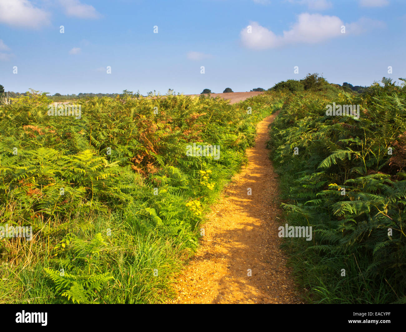 Sailors path suffolk hi-res stock photography and images - Alamy