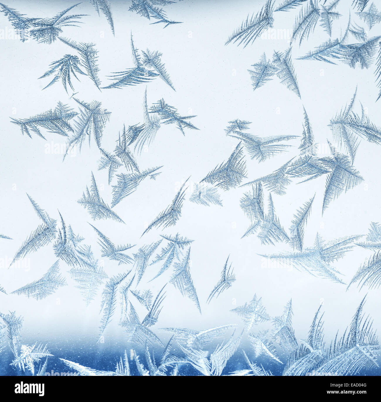 Frosty pattern in the window Stock Photo - Alamy