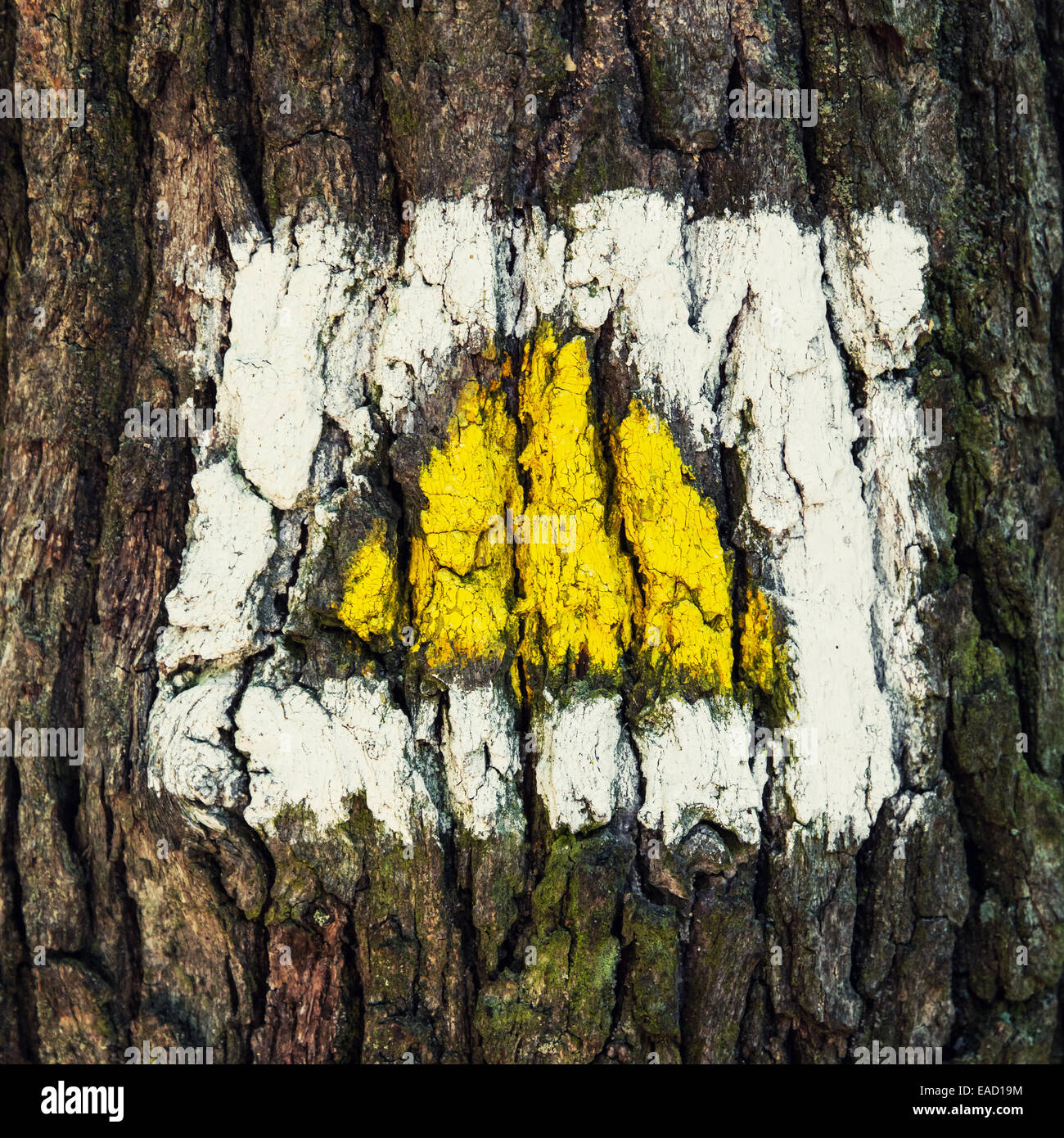 Yellow hiking sign on the tree. Detail photo Stock Photo - Alamy