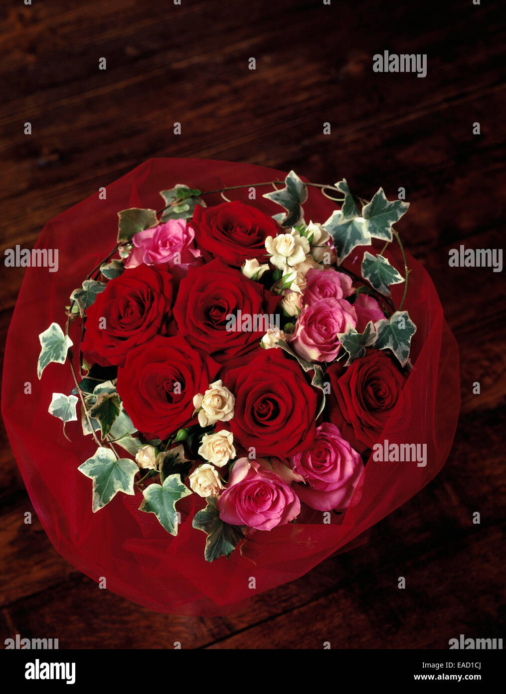 Paul rose hi-res stock photography and images - Alamy