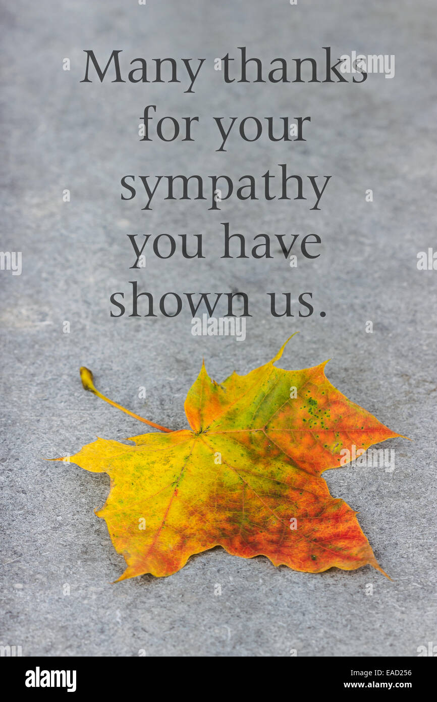 english mourning card with autumn leaves Stock Photo - Alamy