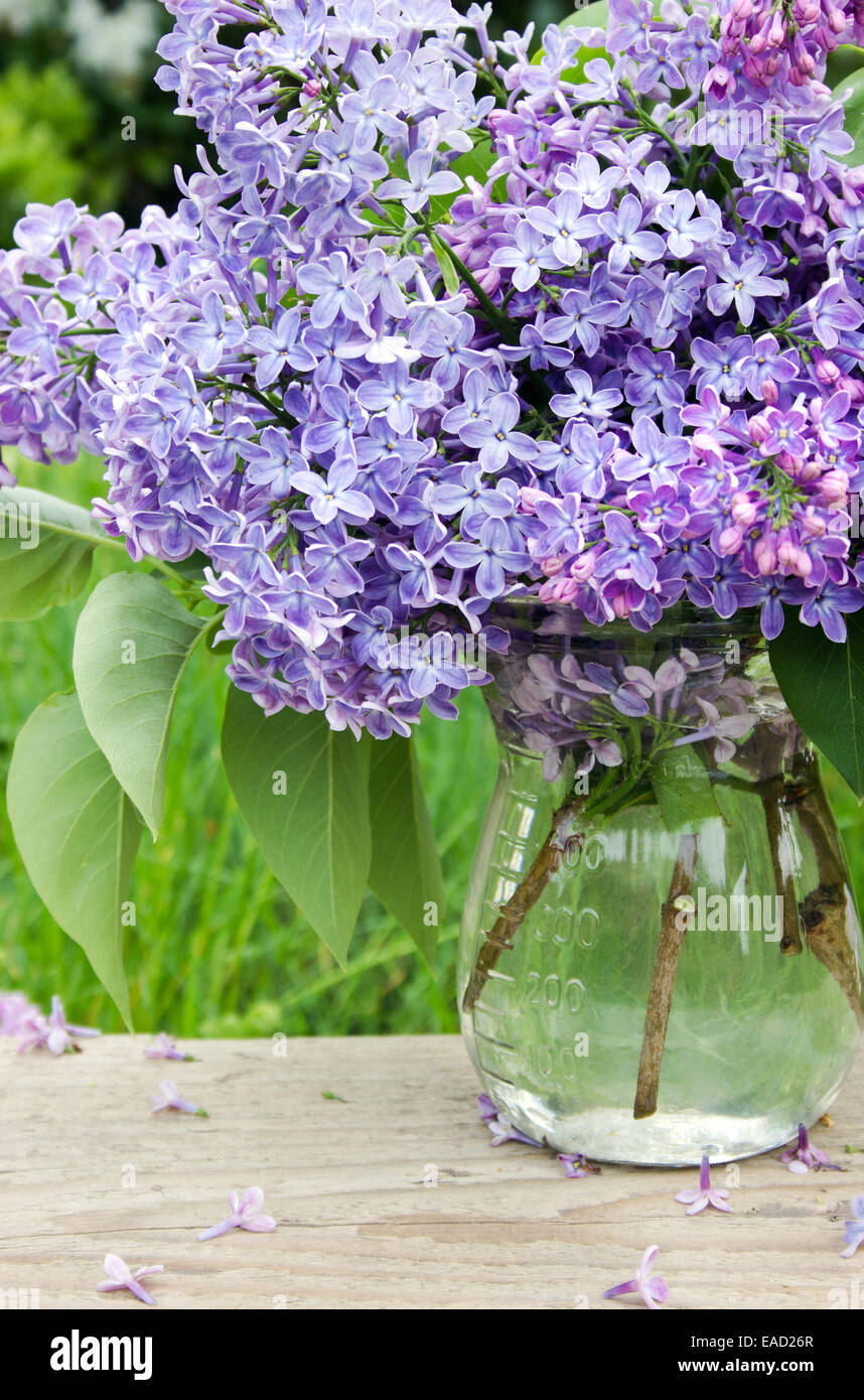 Vase with Bouquet of lilac Stock Photo - Alamy