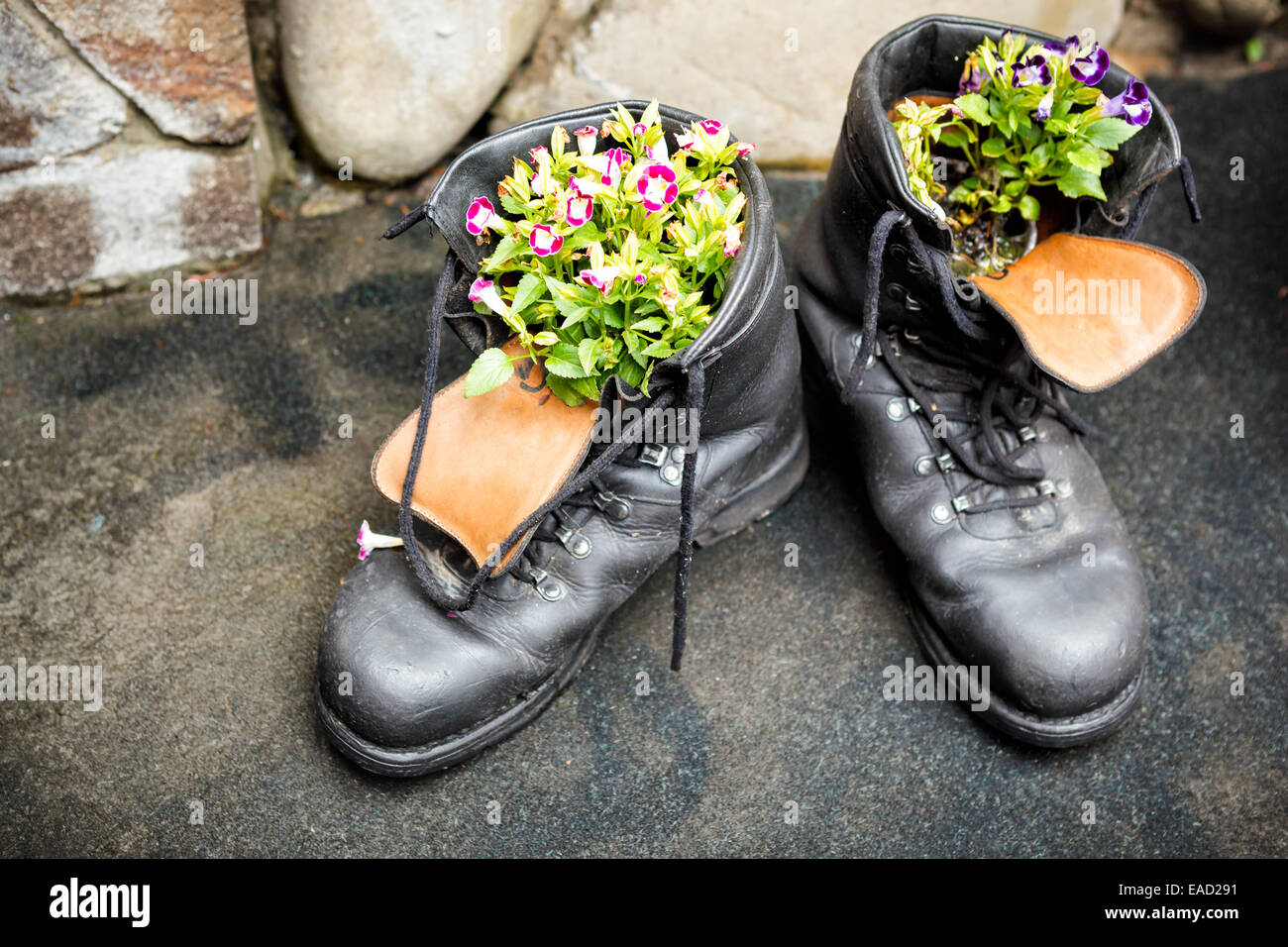 Boots with flowers hi-res stock photography and images - Alamy