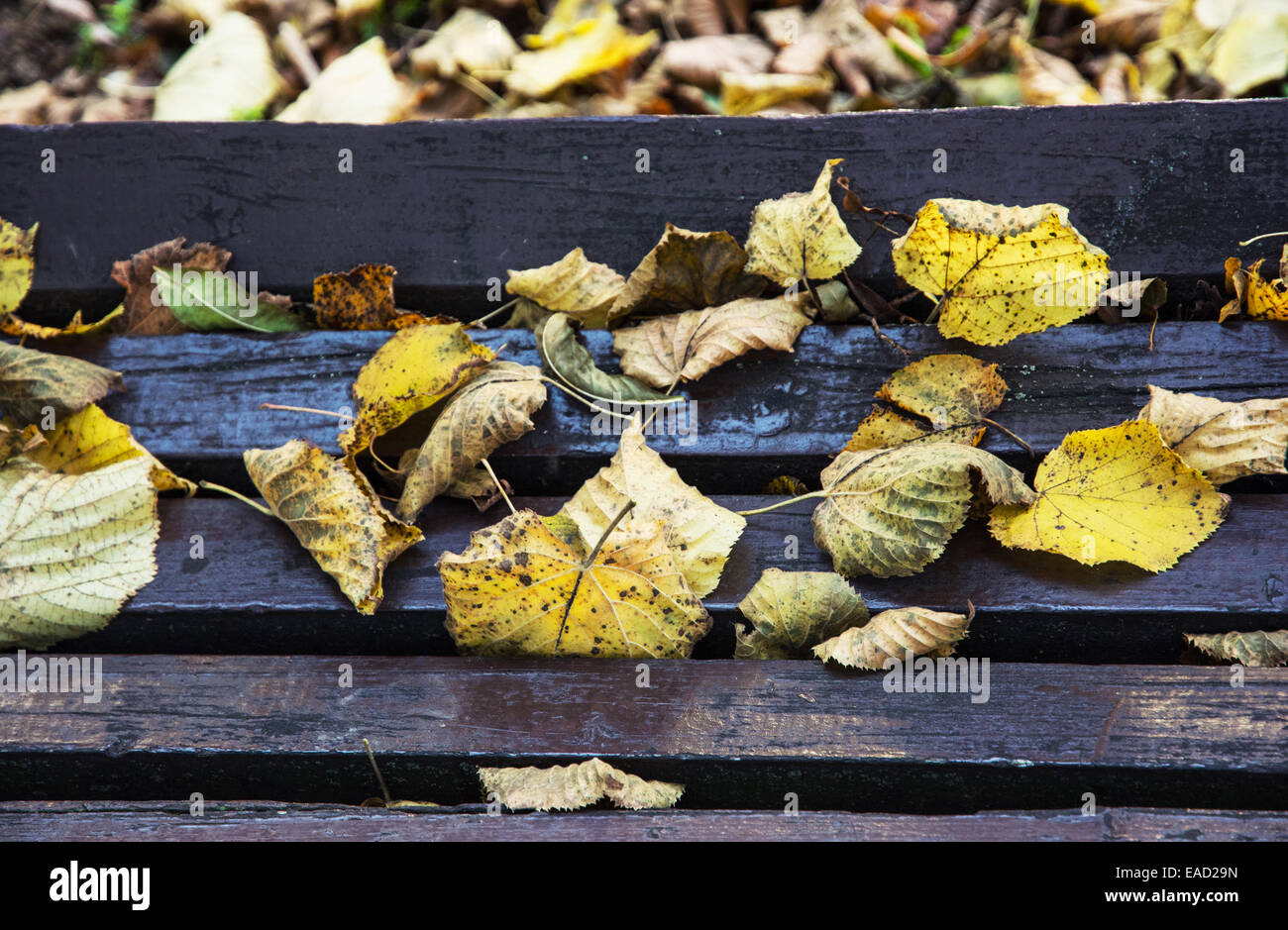 Gradient changes hi-res stock photography and images - Alamy