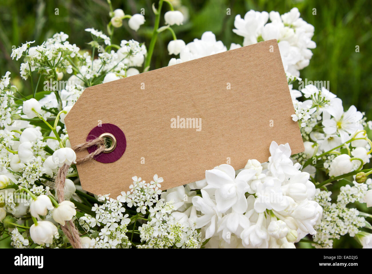 Lily of the valley, lilac and label Stock Photo - Alamy