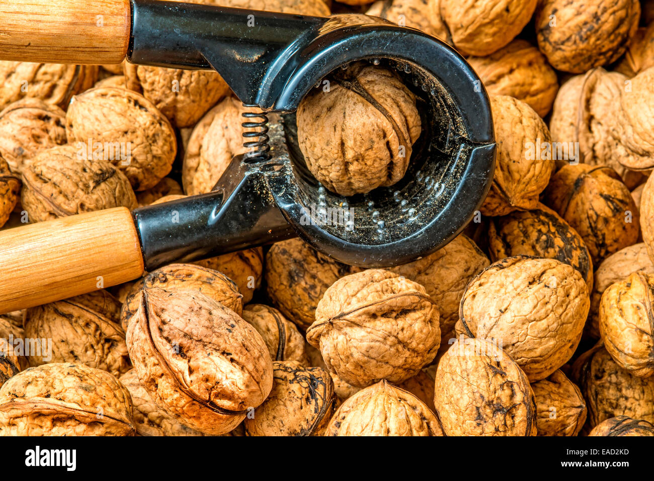 Collect nuts hi-res stock photography and images - Alamy