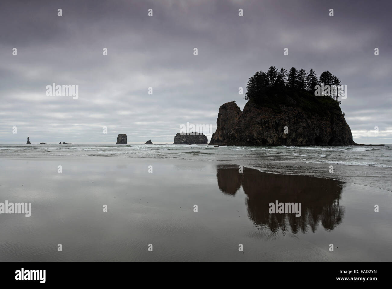 Second Beach, Olympic National Park, Washington, United States Stock ...