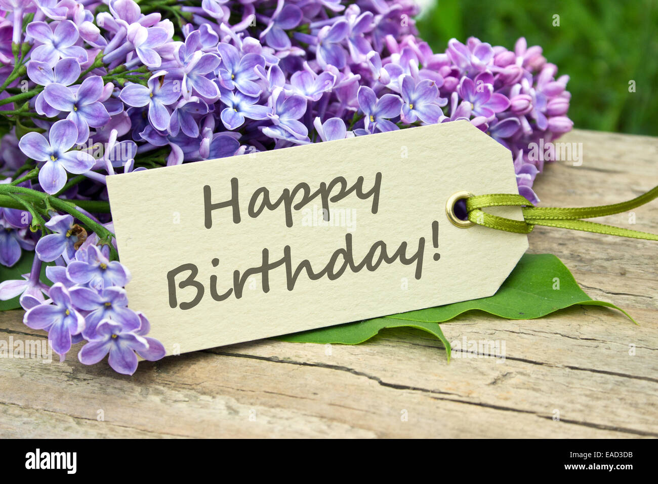 english birthday card with lilac Stock Photo - Alamy