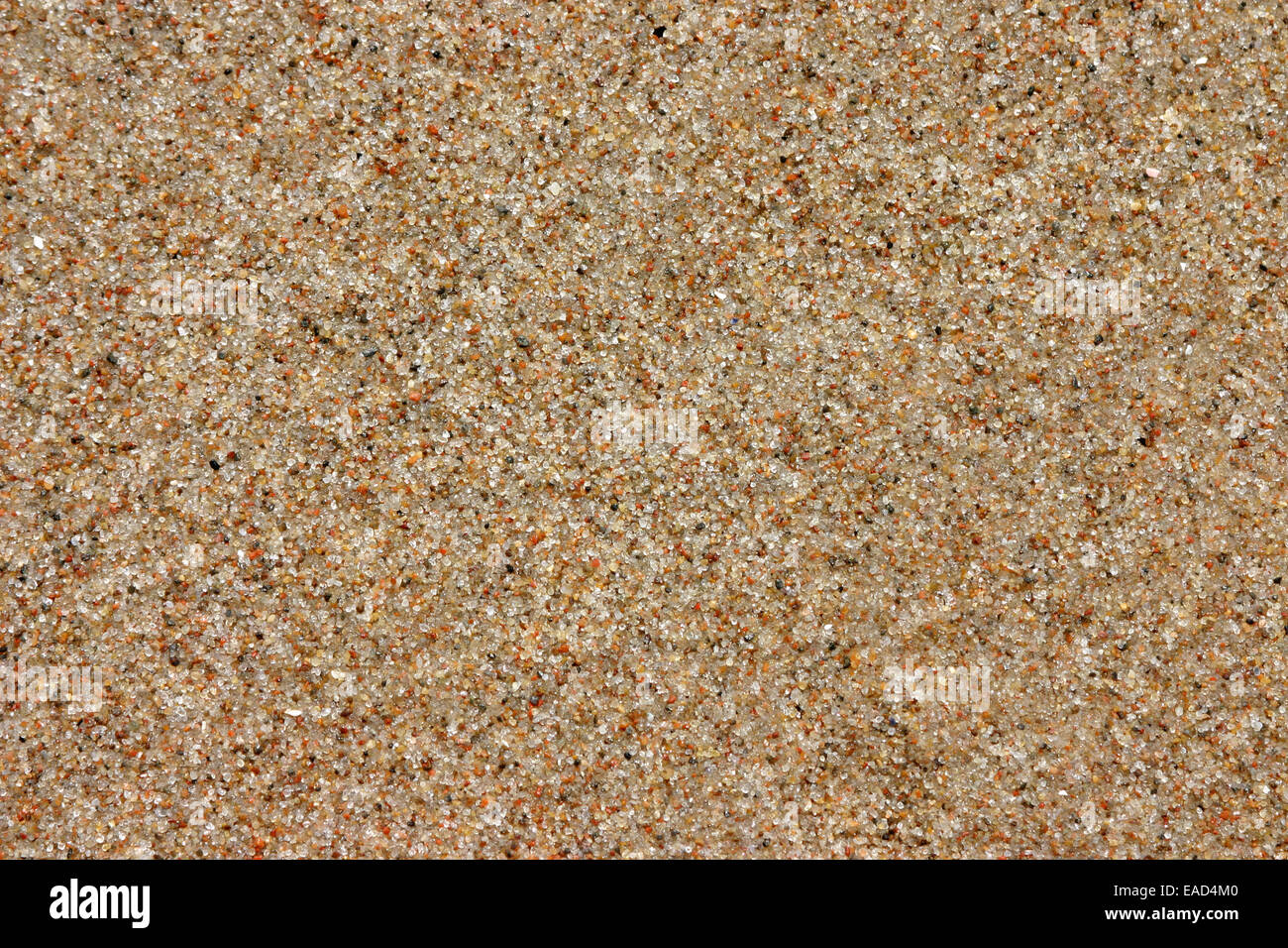 Beach sand background, natural texture, brown color, copy space Stock ...