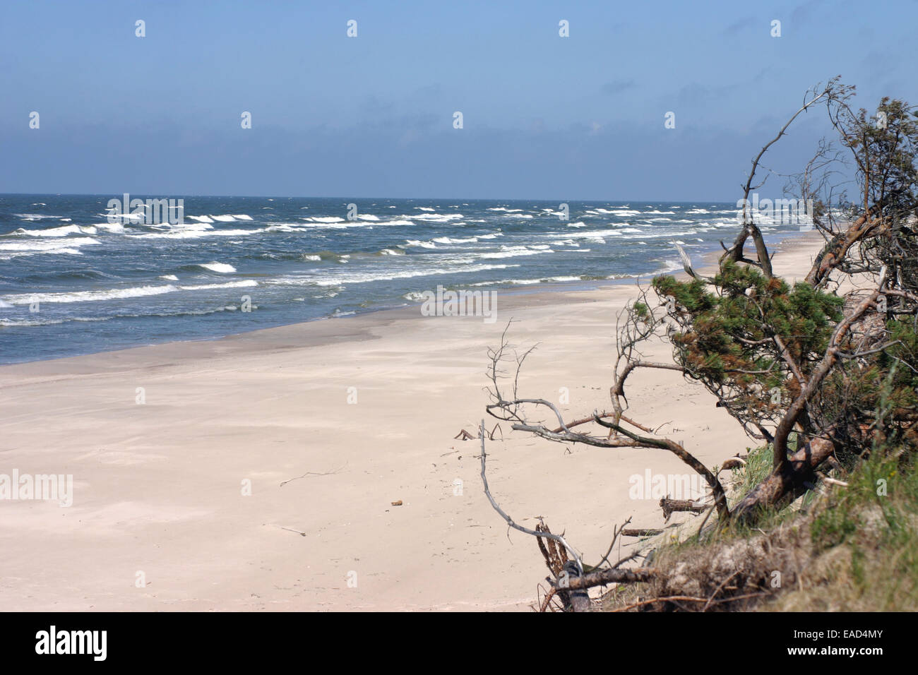 Panoramic view of empty wild beach and ocean at summer Stock Photo - Alamy