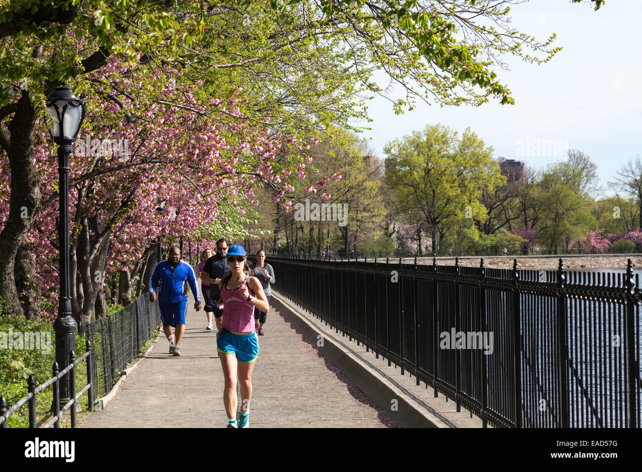 The Reservoir Jogging Path, Central Park, NYC, USA Stock Photo - Alamy