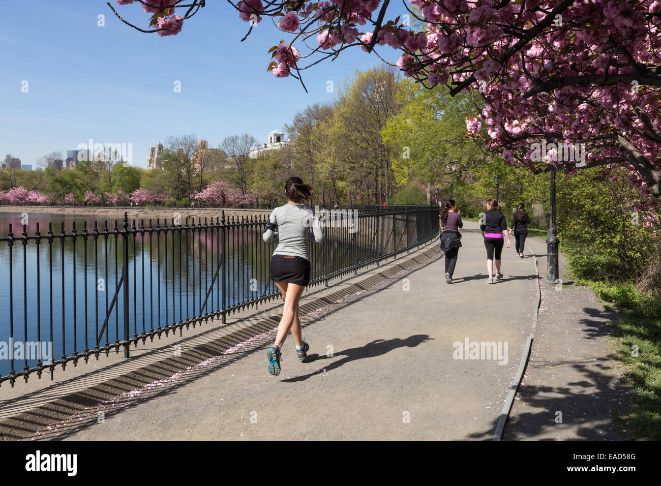 The Reservoir Jogging Path with Runners Rear View, Central Park, NYC ...