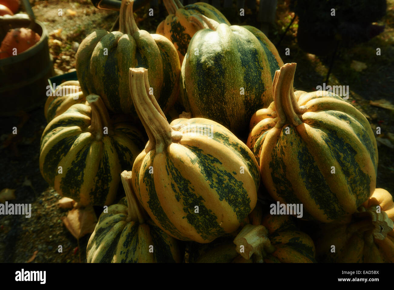 Bowmansville High Resolution Stock Photography and Images - Alamy