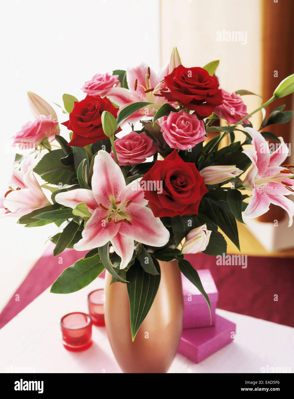 Lily, Lilium 'Star Gazer', Mixed colours subject Stock Photo - Alamy