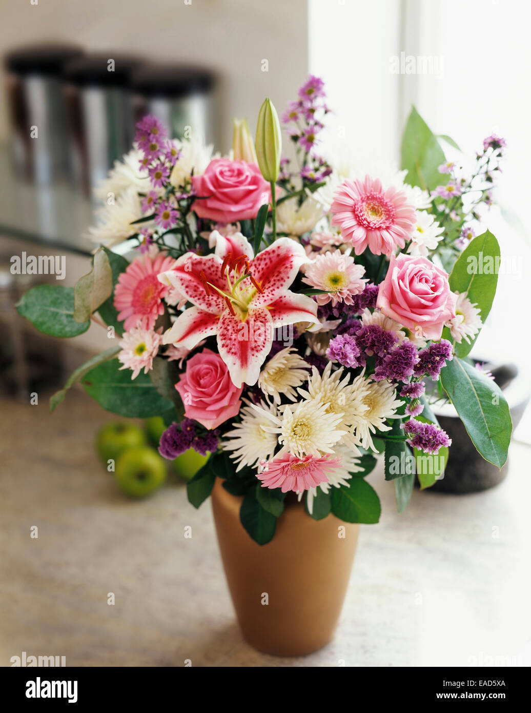 Lily, Lilium 'Star Gazer', Mixed colours subject Stock Photo - Alamy