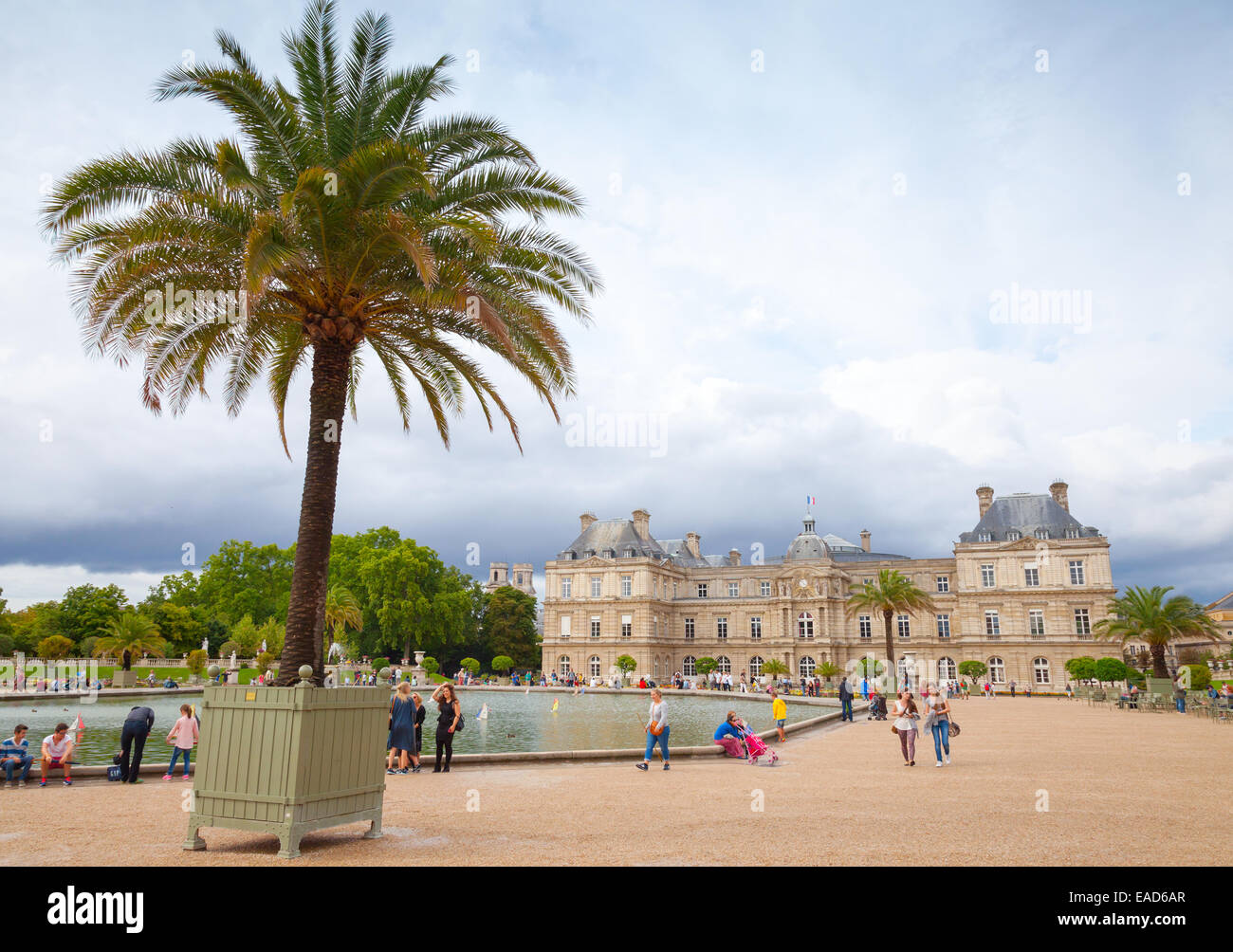 Paris france palm tree hi-res stock photography and images - Alamy