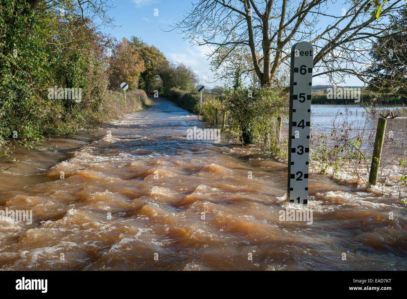 Flooding near Rewe, Exeter, Devon, UK, where the River Culm burst its ...