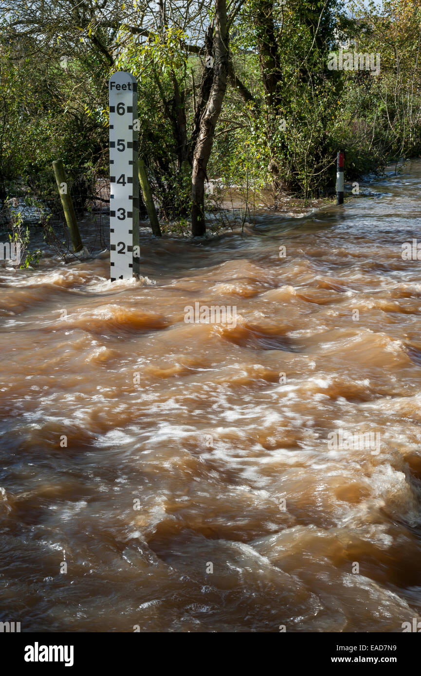 Flooding near Rewe, Exeter, Devon, UK, where the River Culm burst its ...