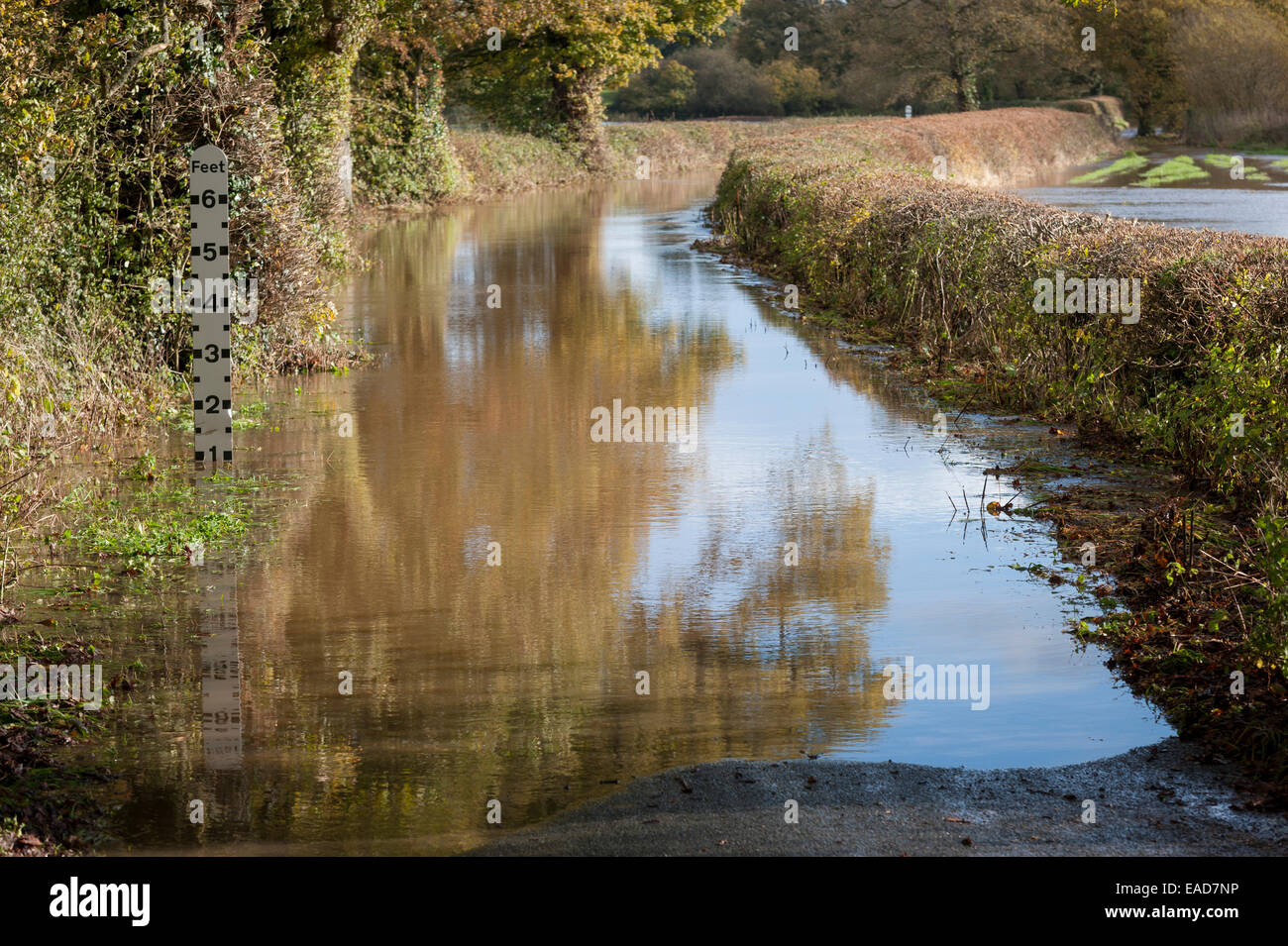 Flooding near Rewe, Exeter, Devon, UK, where the River Culm burst its ...