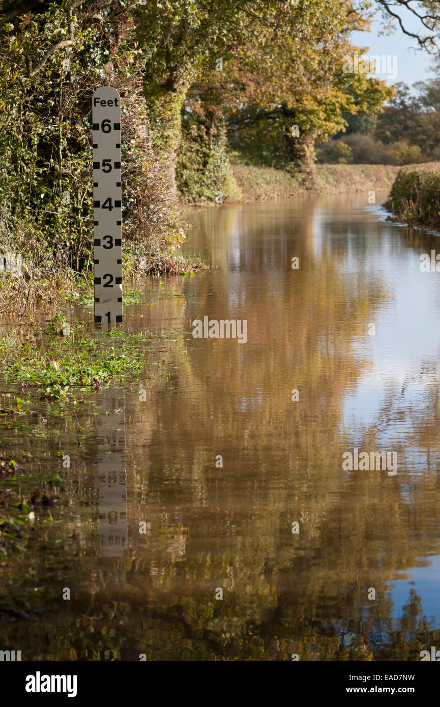 Flooding near Rewe, Exeter, Devon, UK, where the River Culm burst its ...