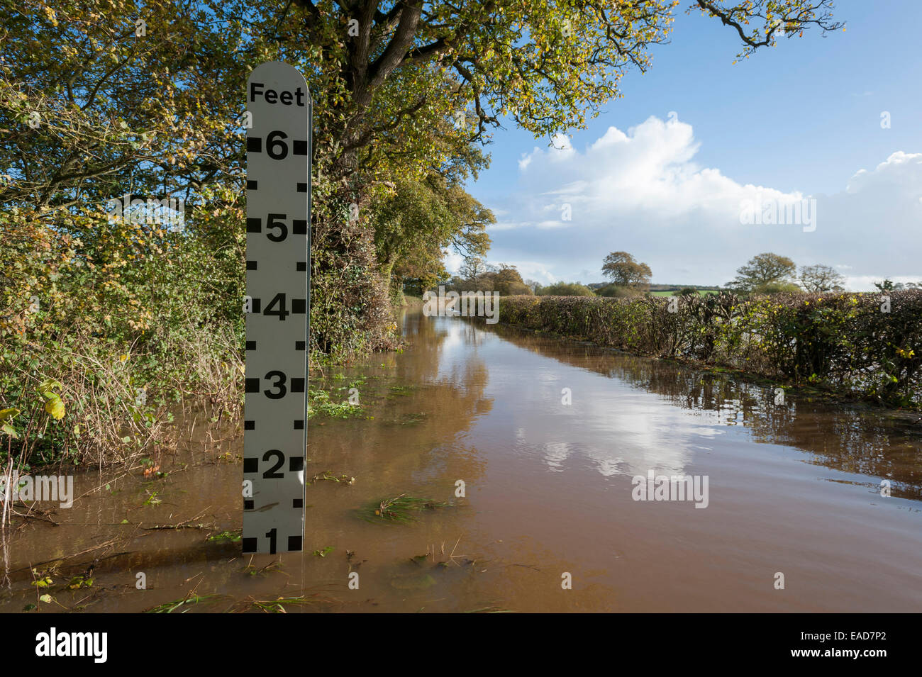 Flooding near Rewe, Exeter, Devon, UK, where the River Culm burst its ...