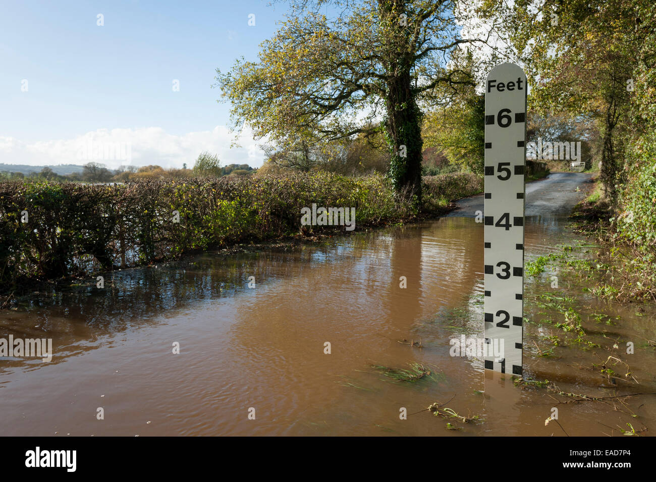Flooding near Rewe, Exeter, Devon, UK, where the River Culm burst its ...