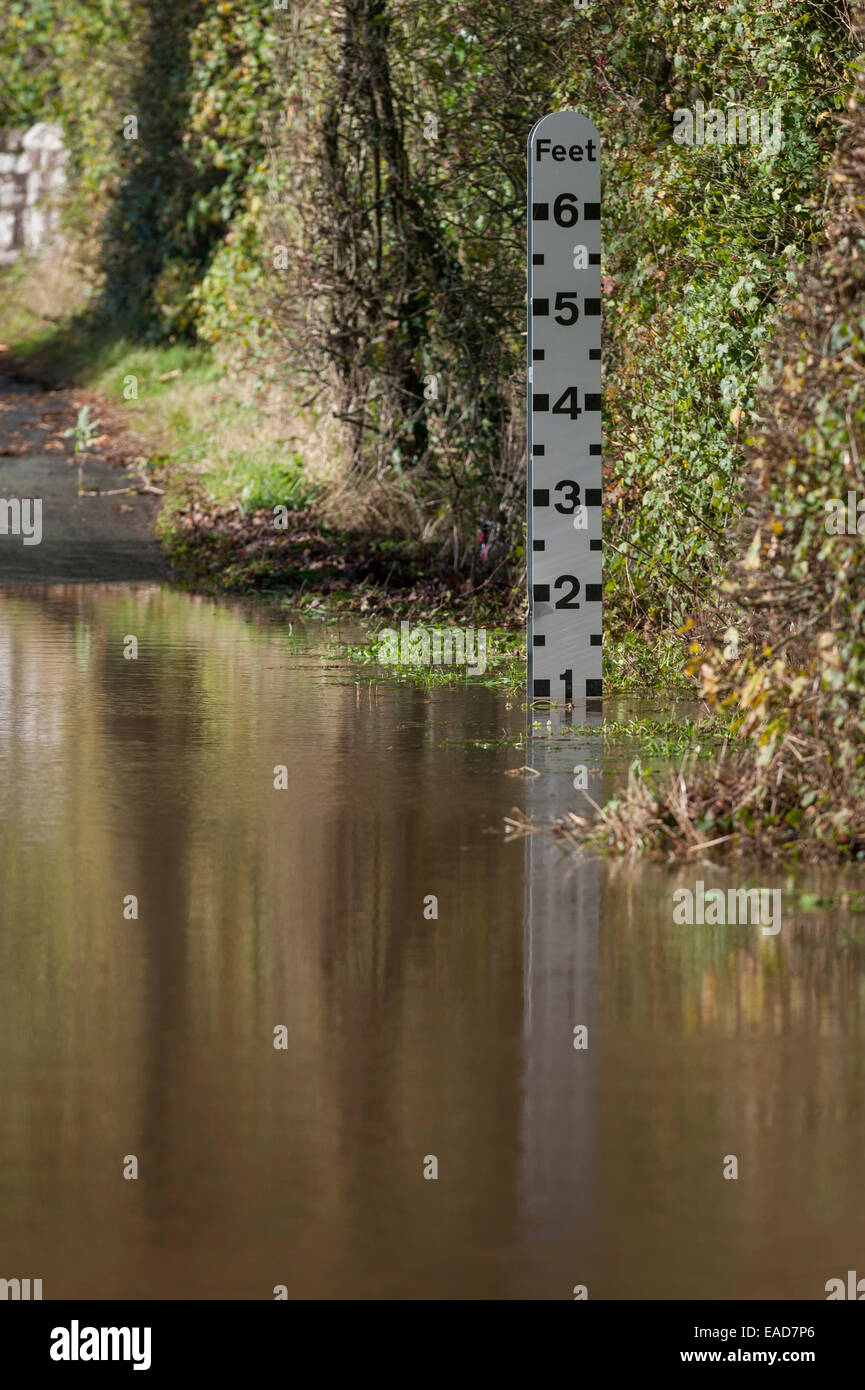 Flooding near Rewe, Exeter, Devon, UK, where the River Culm burst its ...