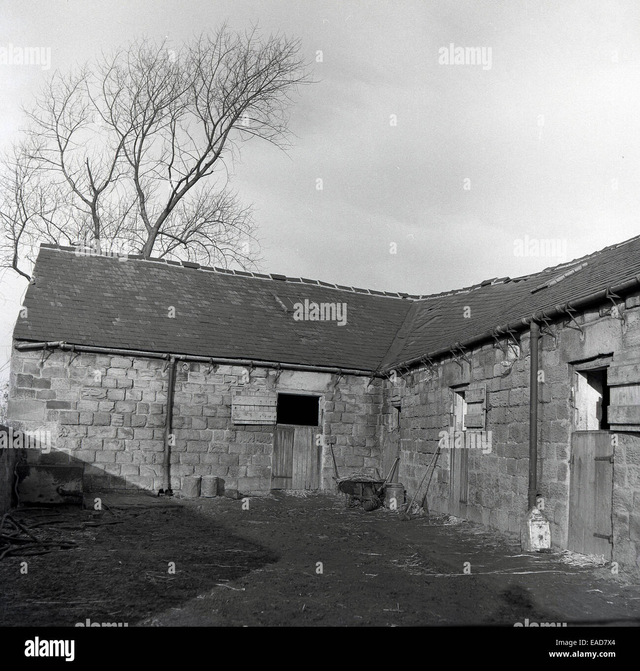 1950s historical picture of farmyard or farm stables, England Stock ...