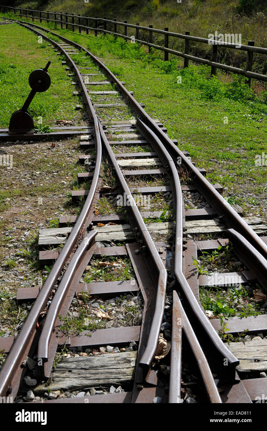 choice, decision, roads, paths, choose split, diversify, sharing ...