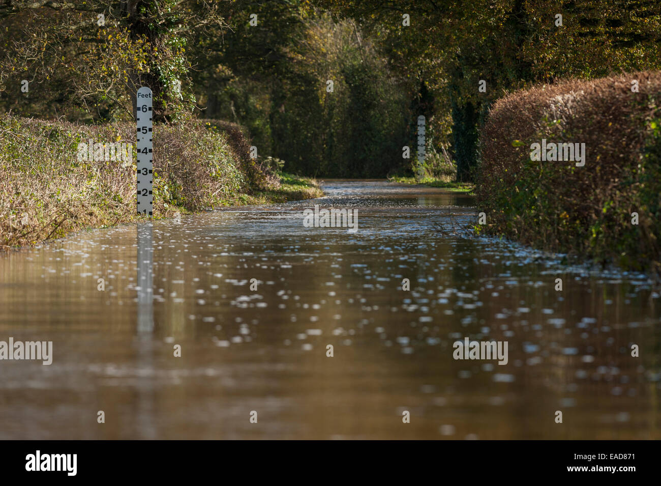 Flooding near Rewe, Exeter, Devon, UK, where the River Culm burst its ...
