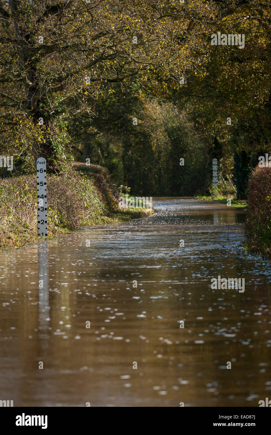 Flooding near Rewe, Exeter, Devon, UK, where the River Culm burst its ...