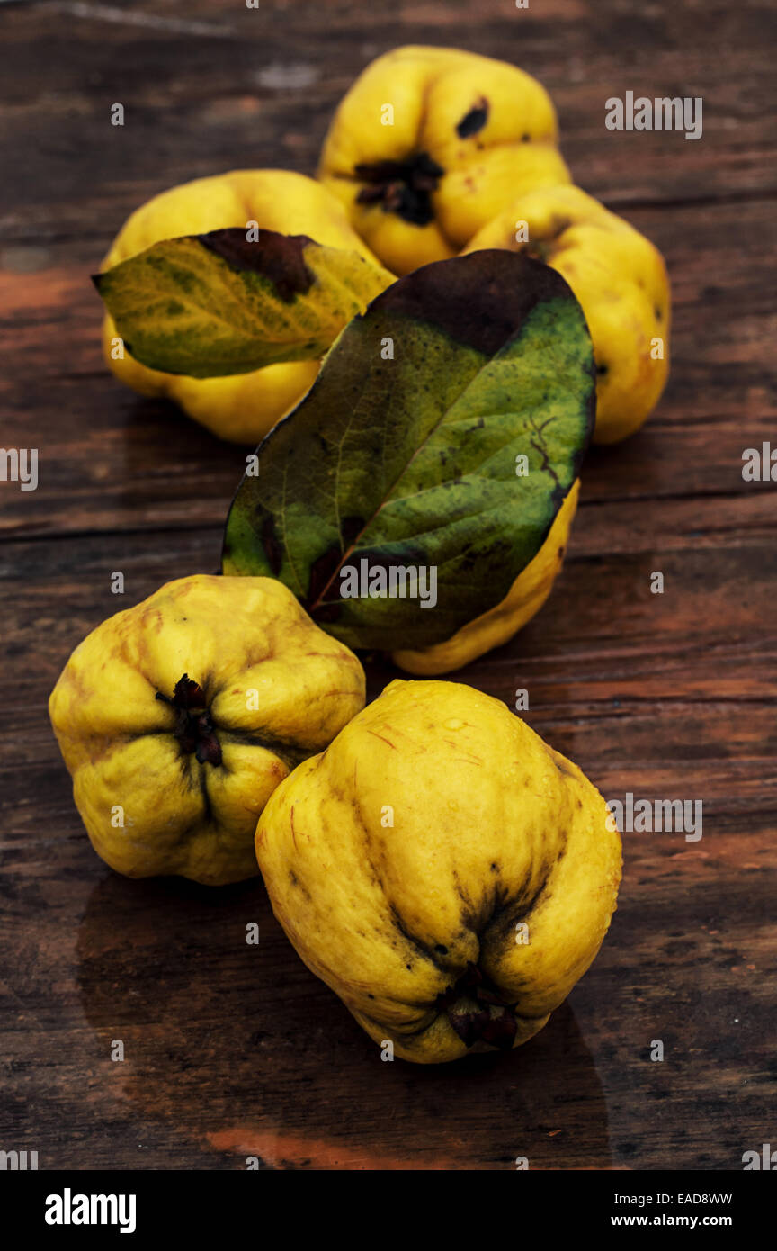 Quince fruit hi-res stock photography and images - Alamy