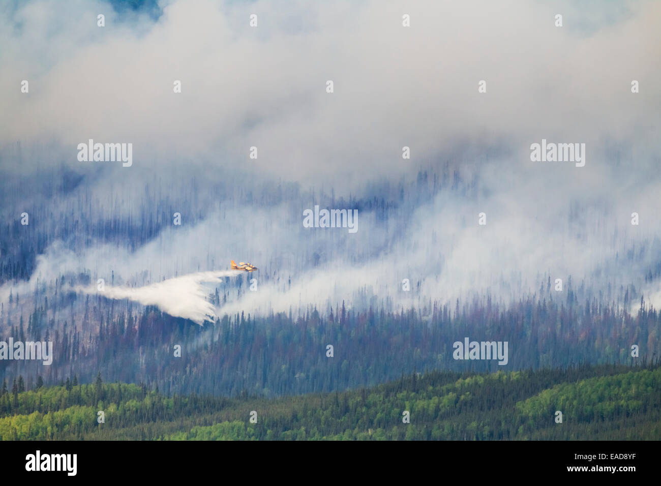 Wildland firefighting plane hi-res stock photography and images - Alamy
