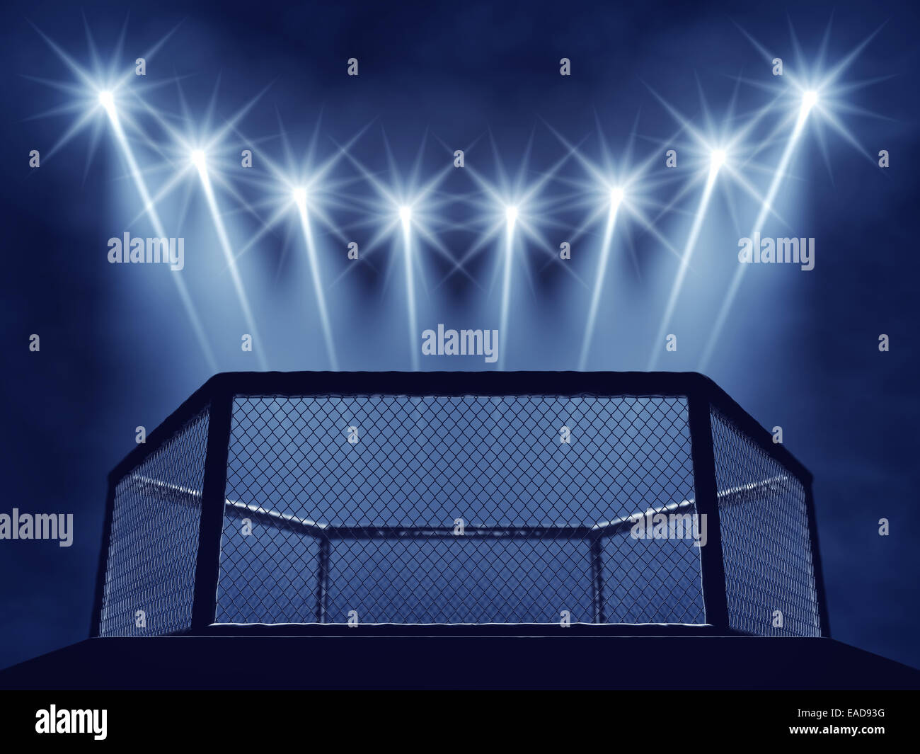 Ufc Fighting Cage