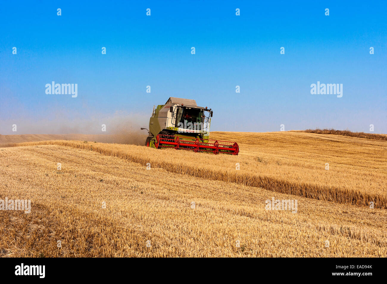 Combine harvester reaping wheat field hi-res stock photography and ...