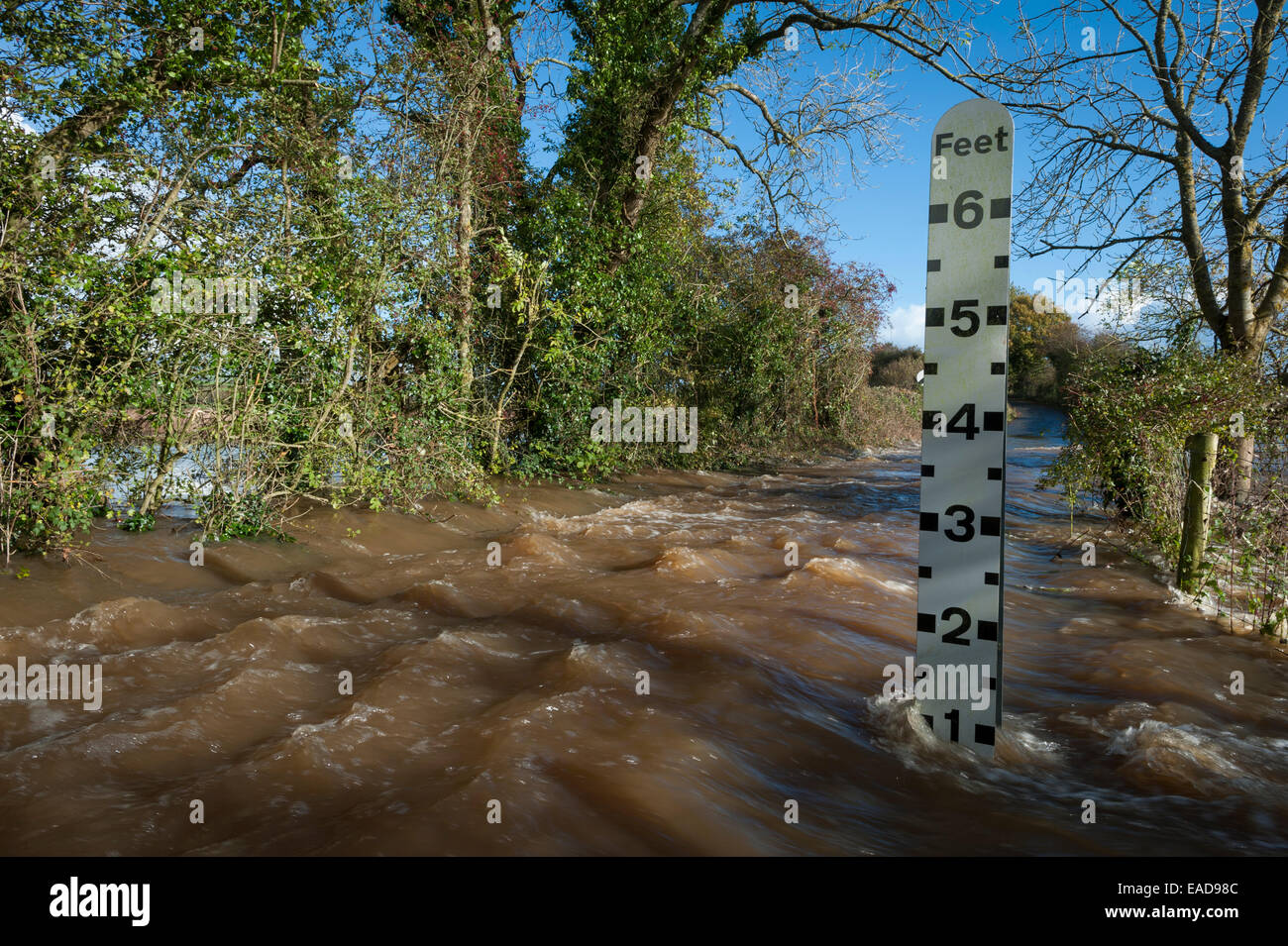 Flooding near Rewe, Exeter, Devon, UK, where the River Culm burst its ...