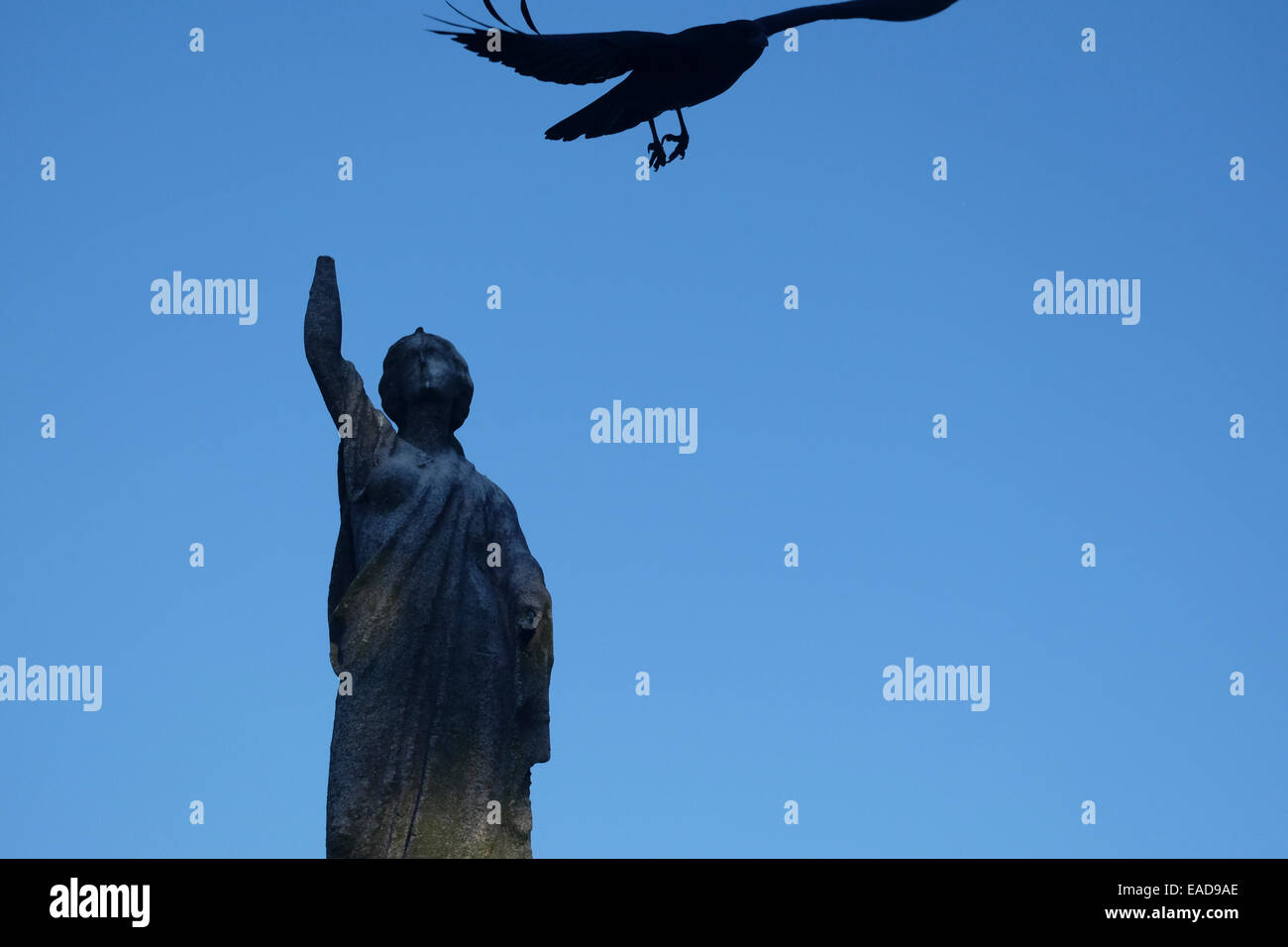 Bird and Statue Stock Photo - Alamy