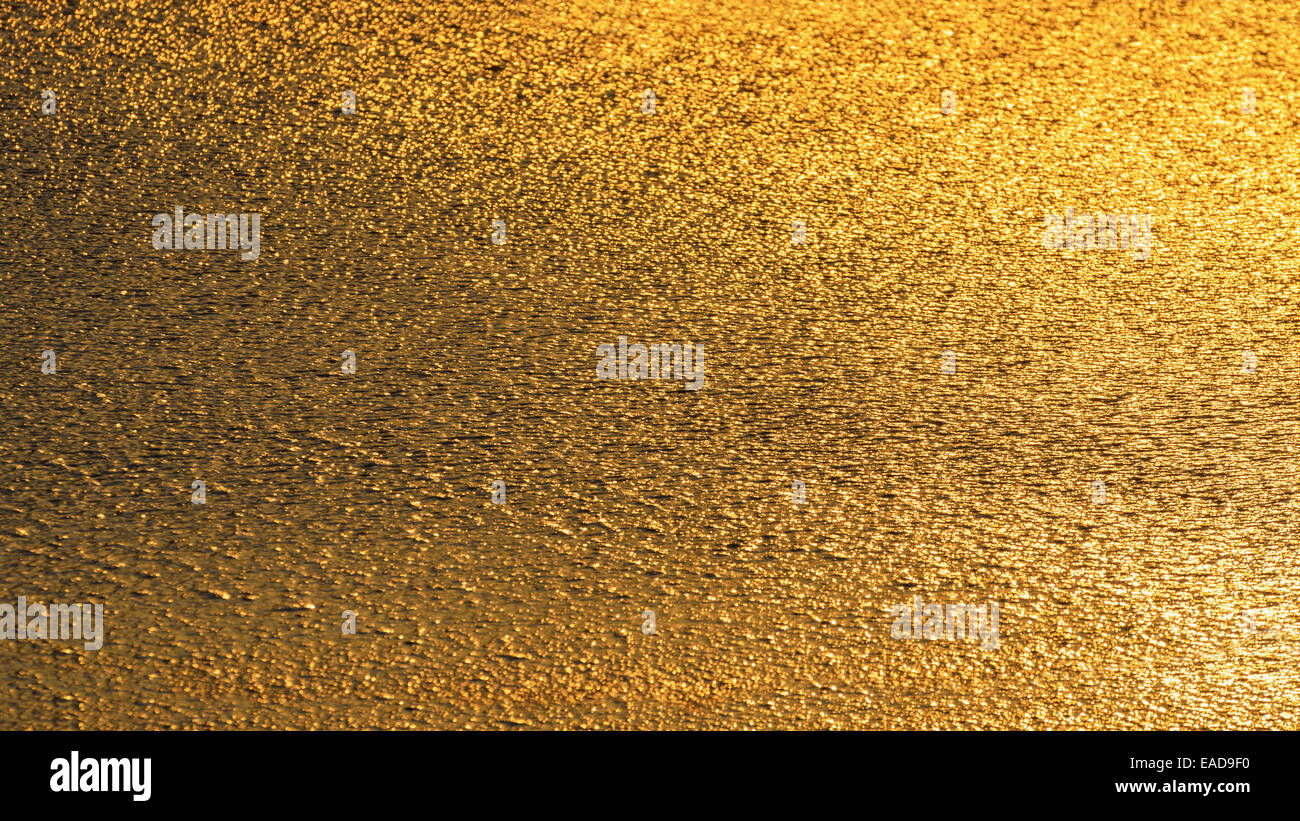 Golden sunlight beach hi-res stock photography and images - Alamy