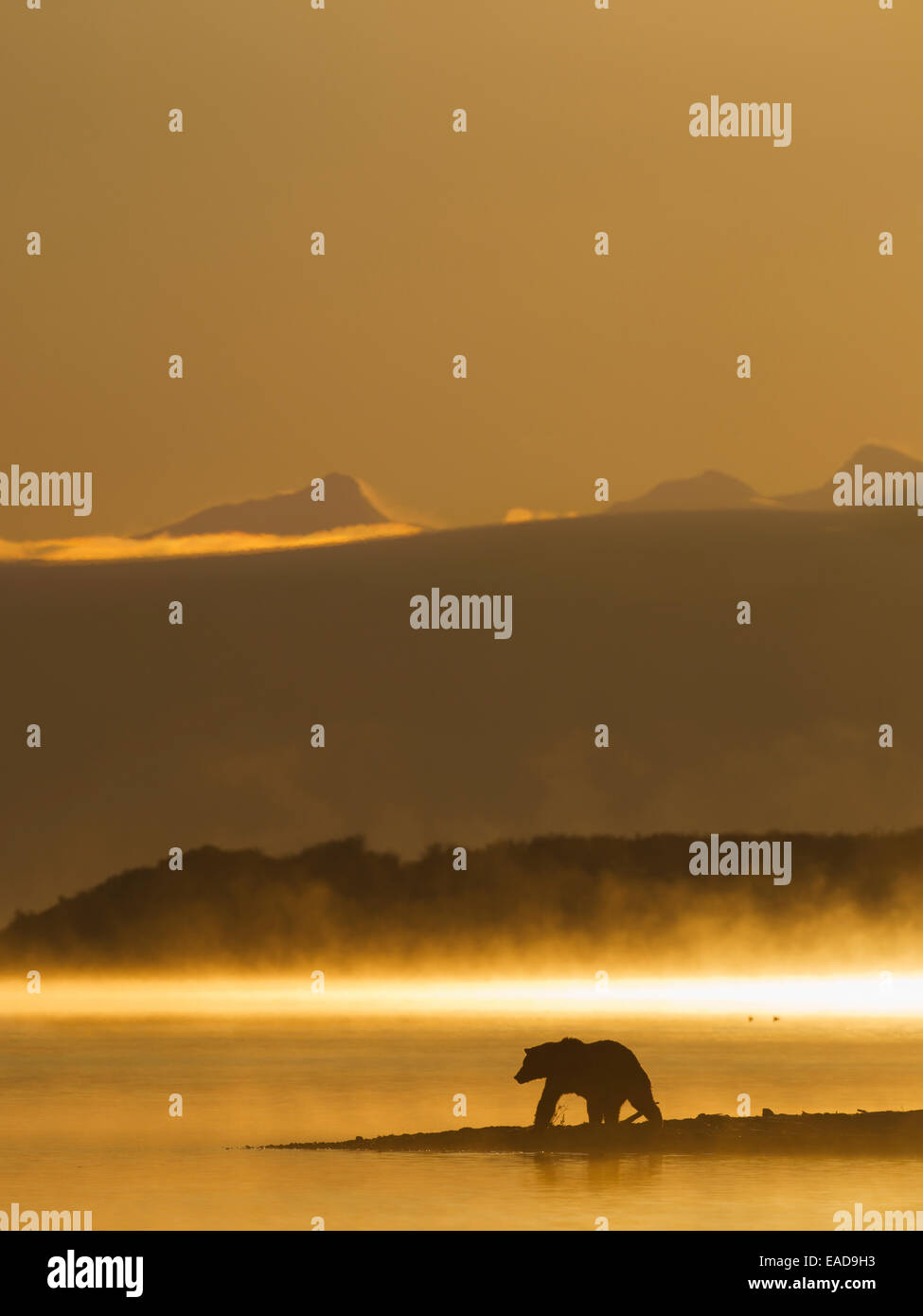Naknek Alaska High Resolution Stock Photography and Images - Alamy