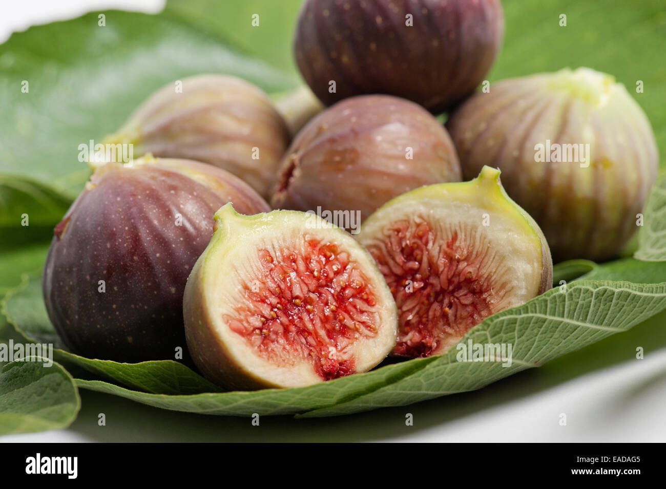 bunch of ripe figs on foliage Stock Photo - Alamy