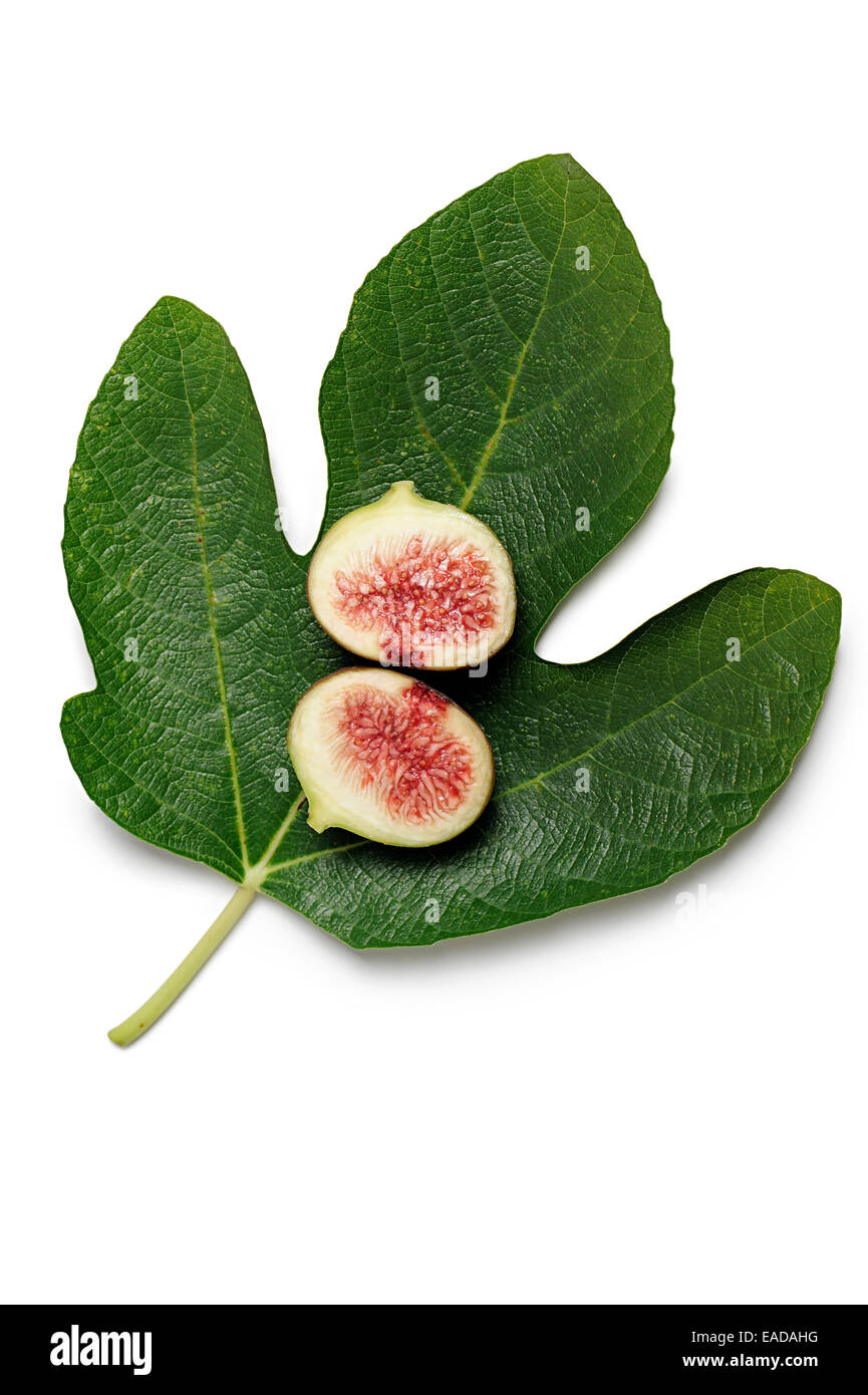 figs sliced on leaf, on white background Stock Photo - Alamy