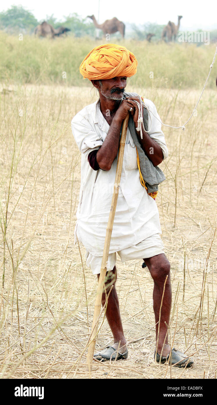 Turban, Indian, male, old man, villager, mustache, beard in Pushkar ...
