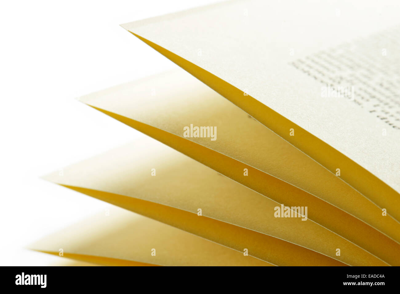 pages open book closeup, on white background Stock Photo - Alamy