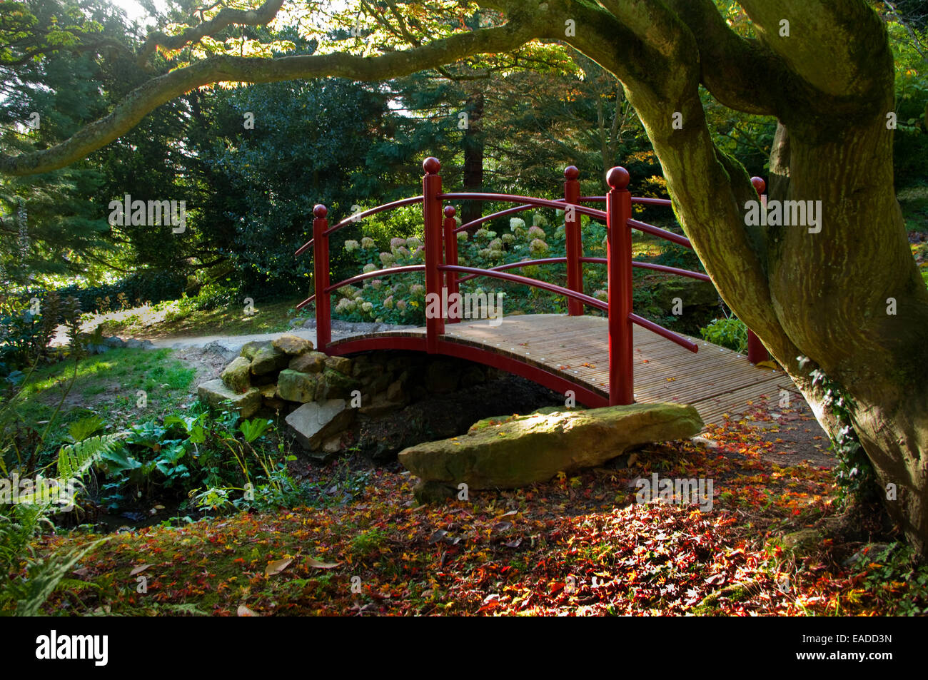 Chinese red bridge hi-res stock photography and images - Alamy