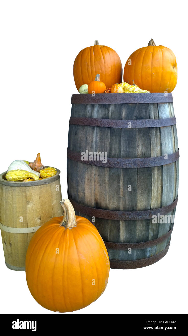 Harvest pumpkins gourds on Cut Out Stock Images & Pictures - Alamy