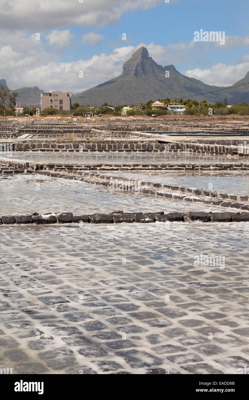 Salt pans and Le Rempart mountain in the background, west coast of ...
