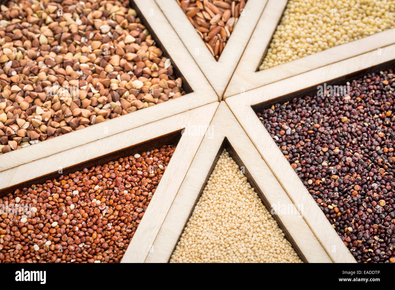 variety of gluten free grains (red and black quinoa, buckwheat, brown ...