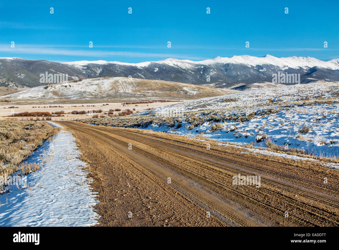 dirt backcountry road with snowy Medicine Bow Mountains in background ...